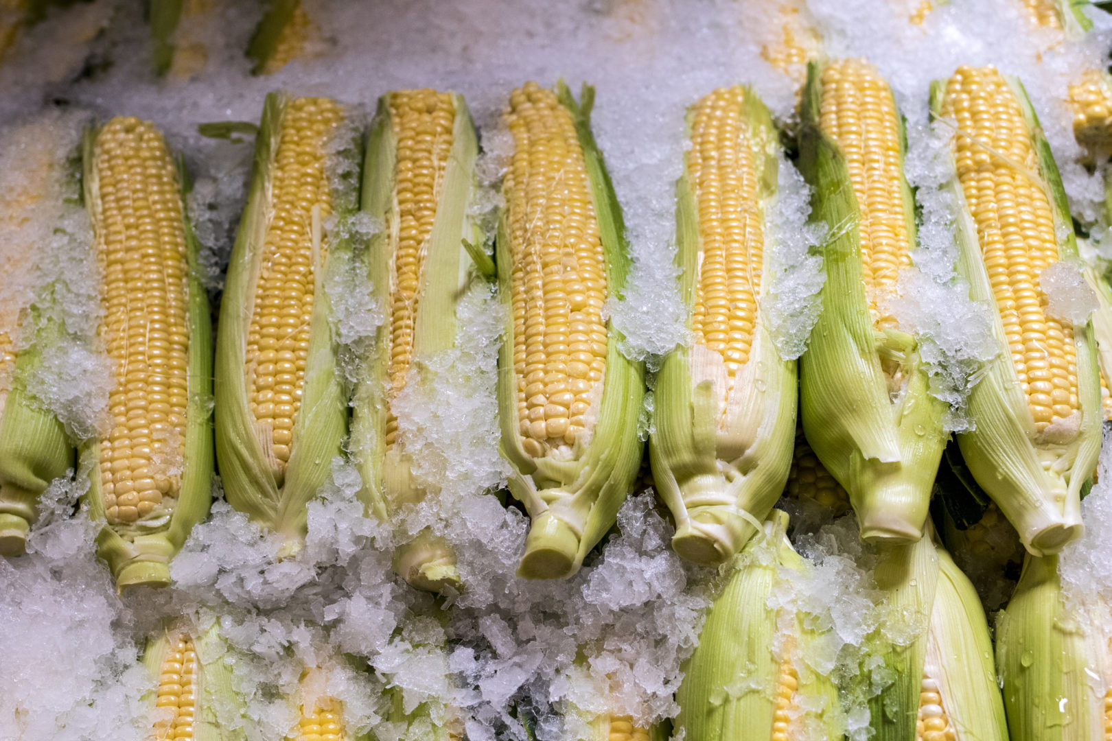 25% off Snake River Farms Wagyu Beef