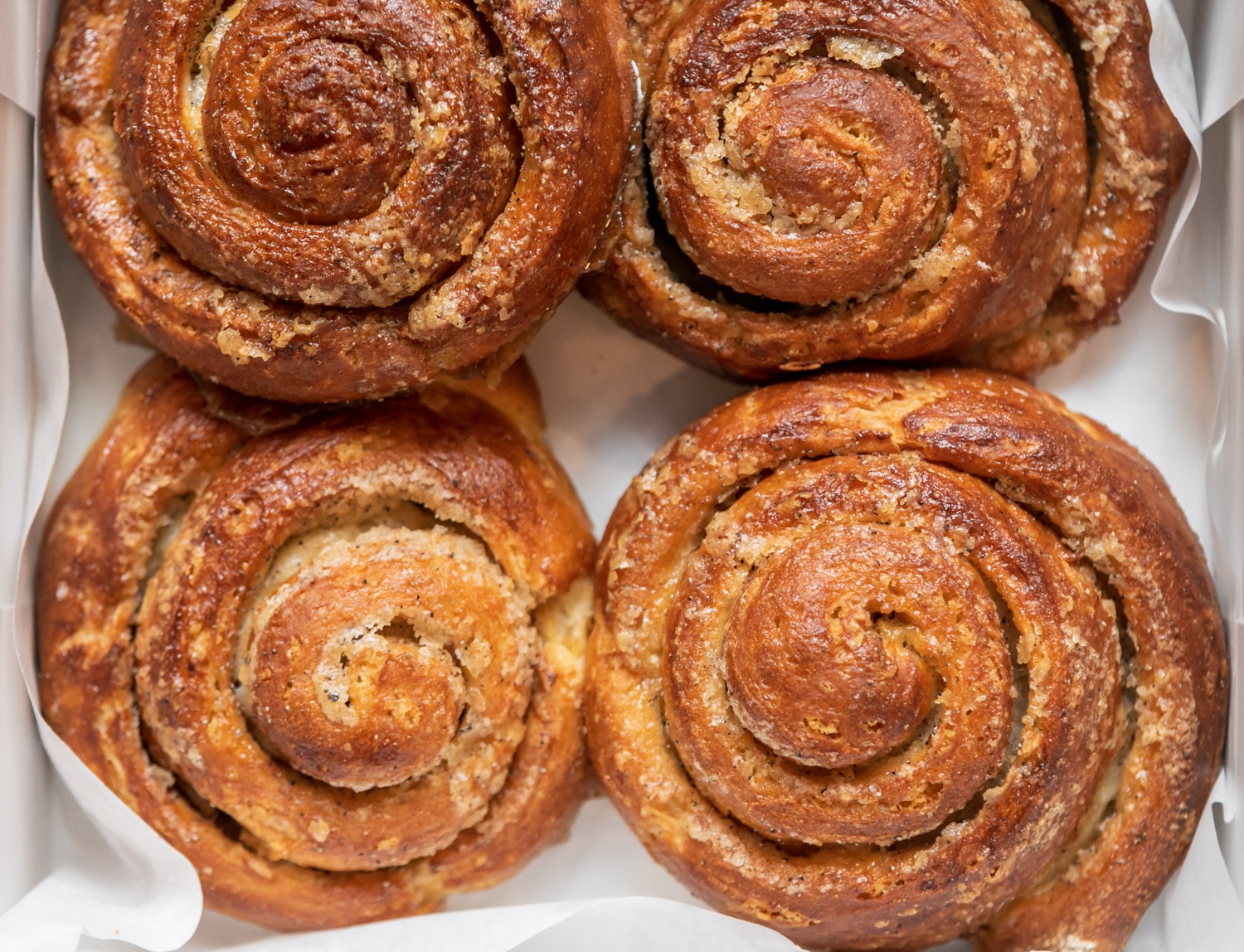 Sparrow Bakery Portland Desserts | Zupan’s Markets